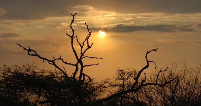 Celebrate spring with a Bushveld Braai | LekkeSlaap